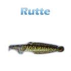 Fischlexikon online mit Bildern | Teichfilter